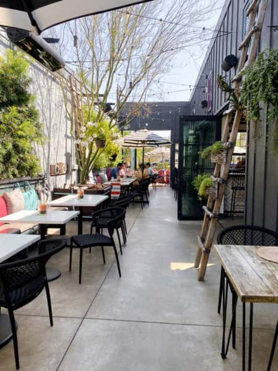 ALCE 101 - Farm-to-Table Restaurant in Solana Beach, CA