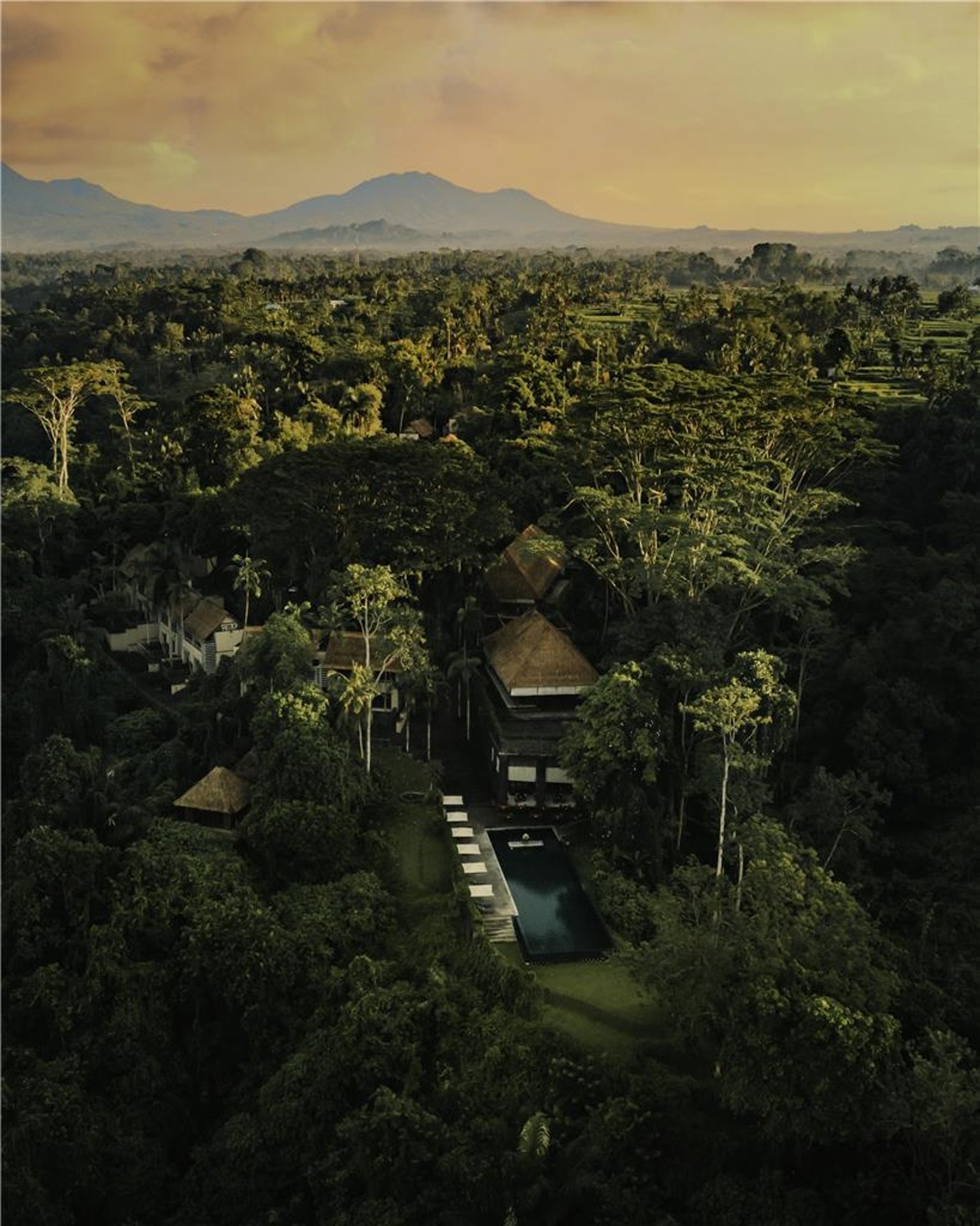 ALILA UBUD - Hotel in Ubud, Indonesia | The Vendry