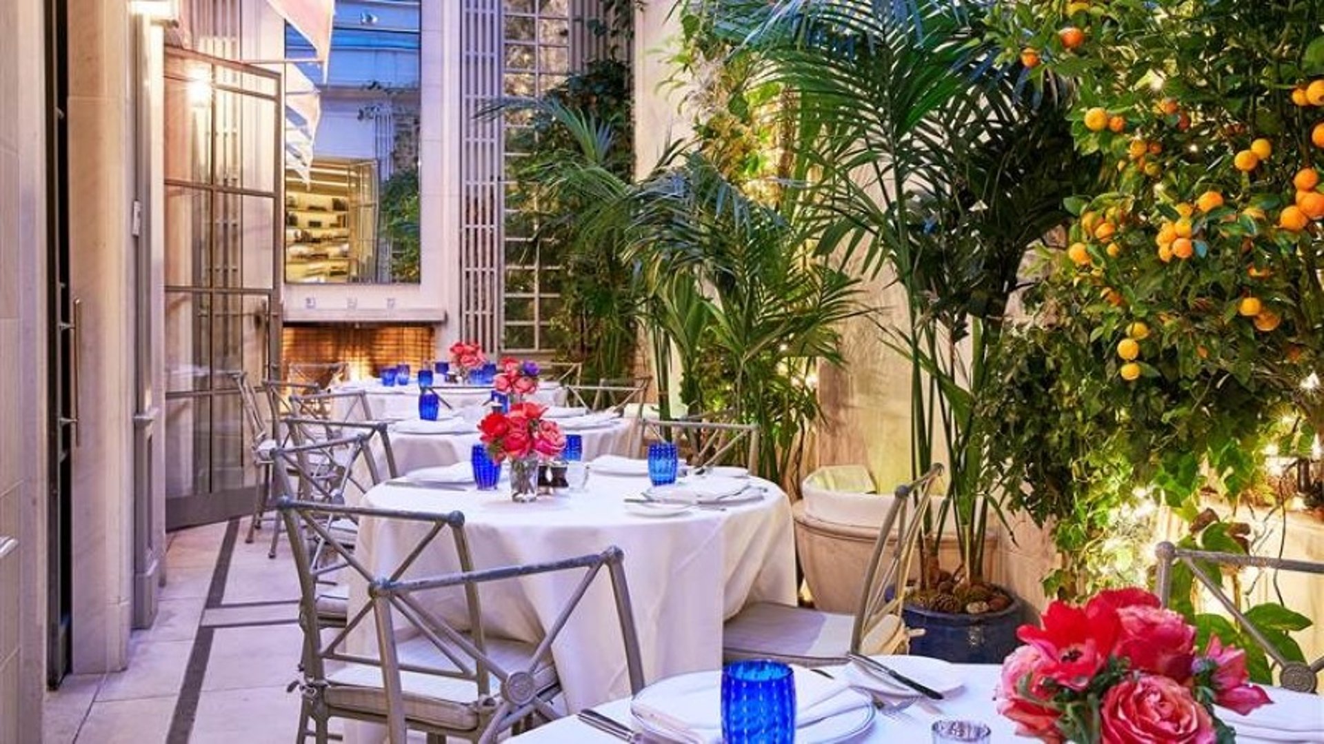 Majorelle at Majorelle - Restaurant in in New York, NY | The Vendry