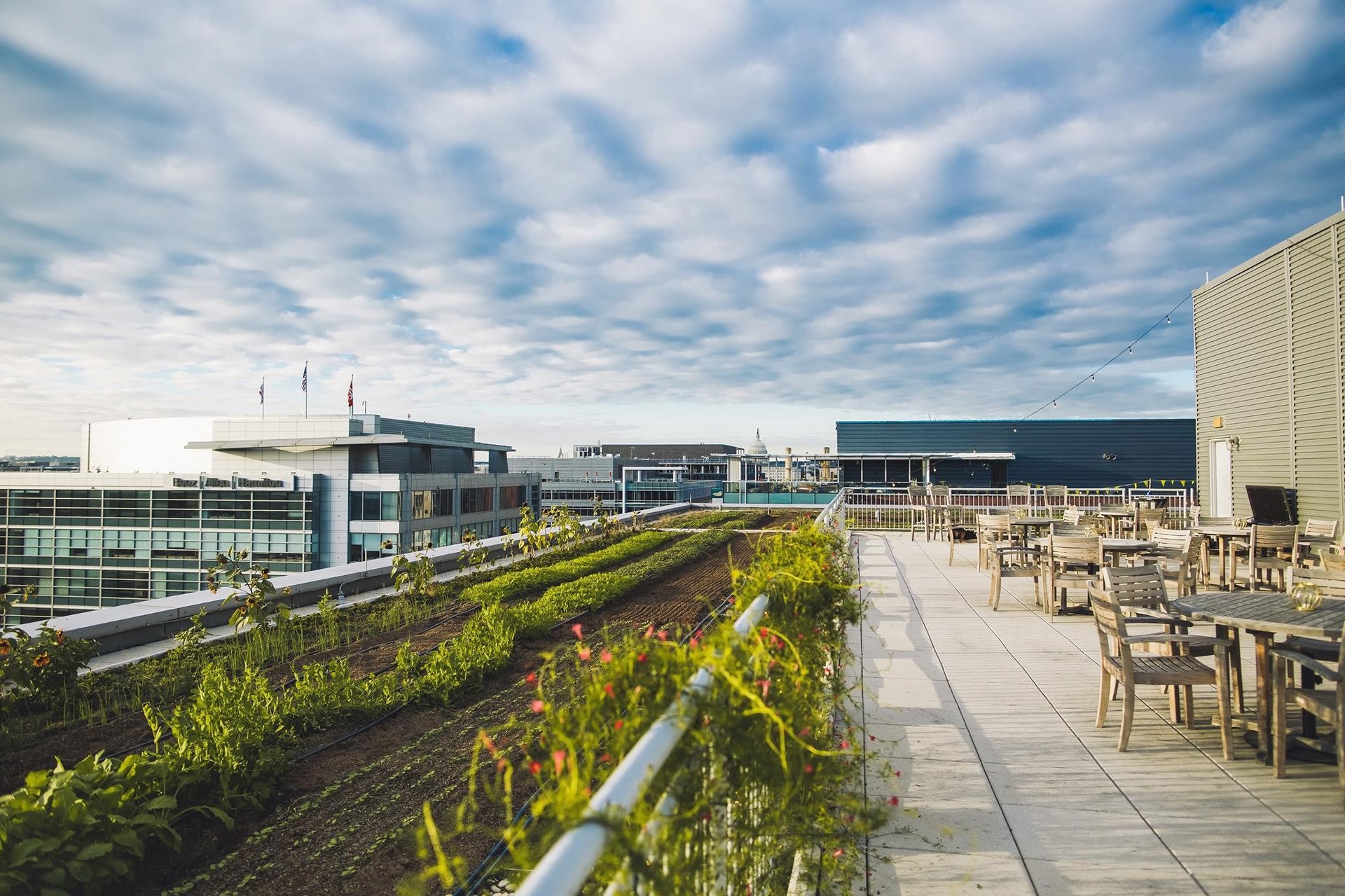 Up Top Acres - Event Space in Washington, DC | The Vendry