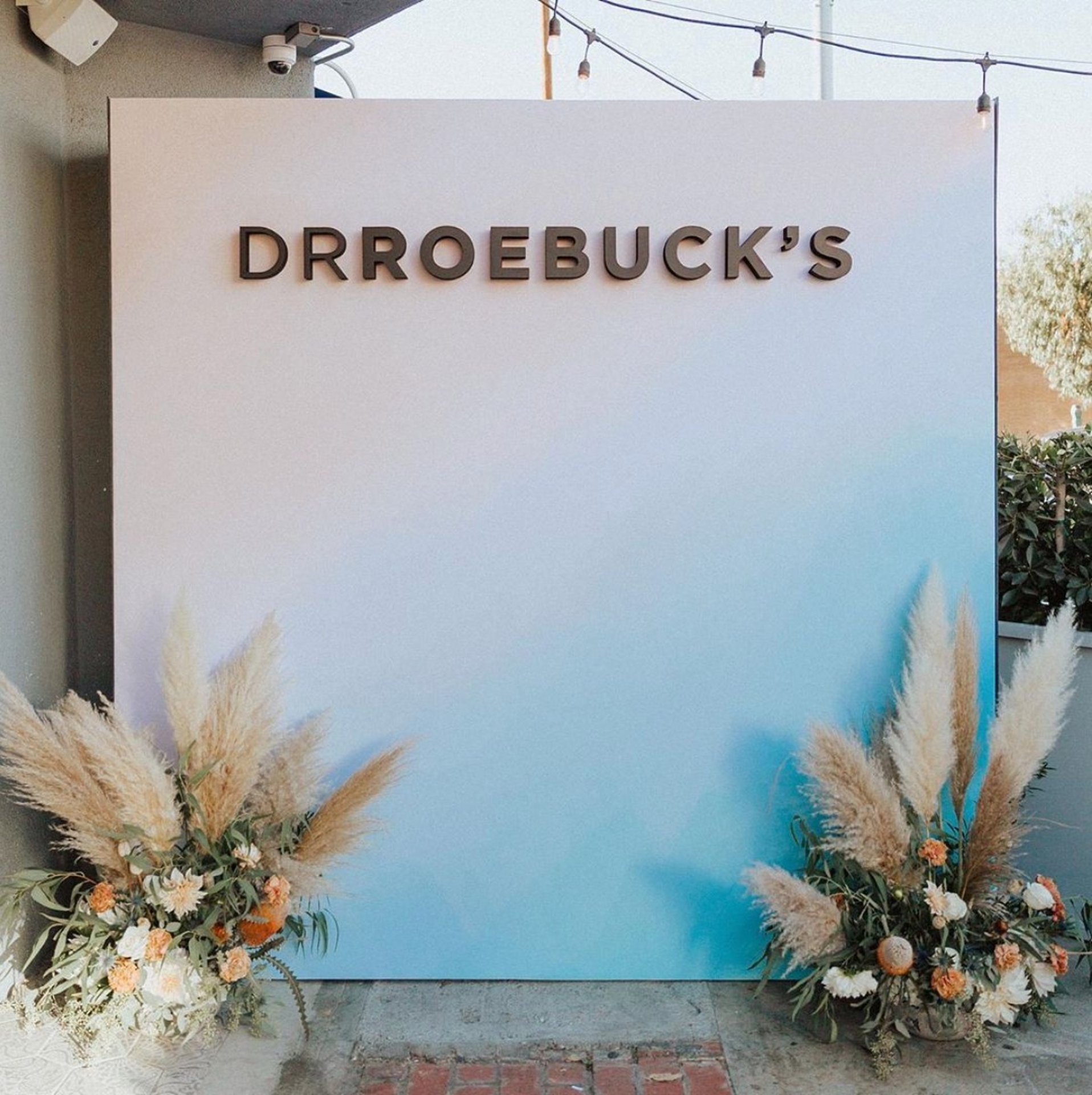 Dr Roebuck's x Bluestone - Product Launch in West Hollywood, CA | The ...