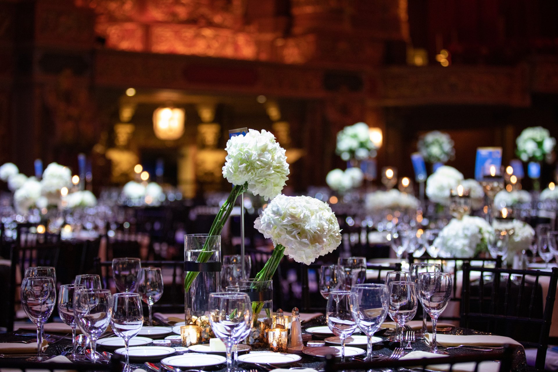 NDC 50th Anniversary Celebration - Gala in New York, NY | The Vendry