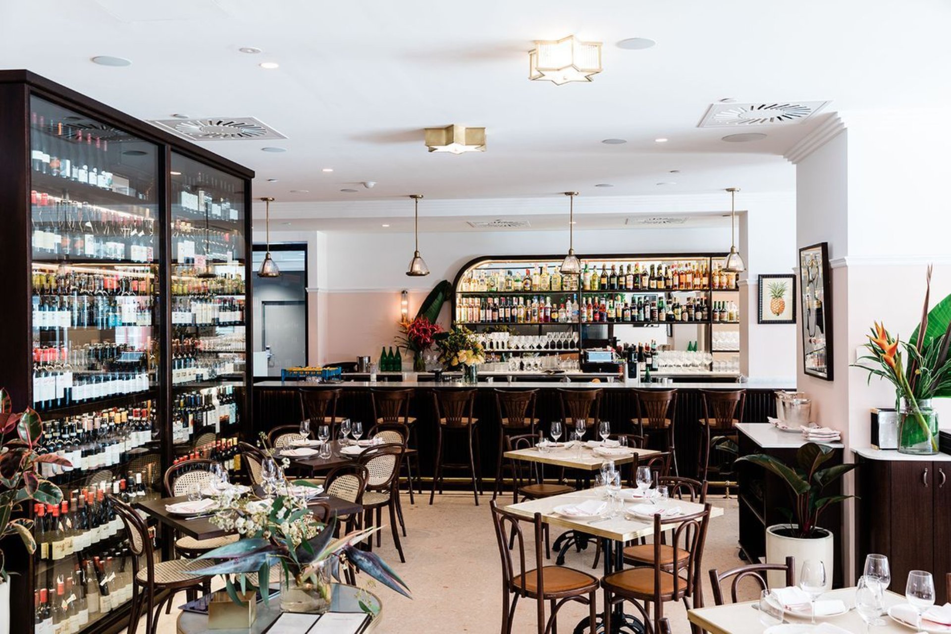 Continental Deli Bar Bistro - Bistro Restaurant in Newtown, Australia ...