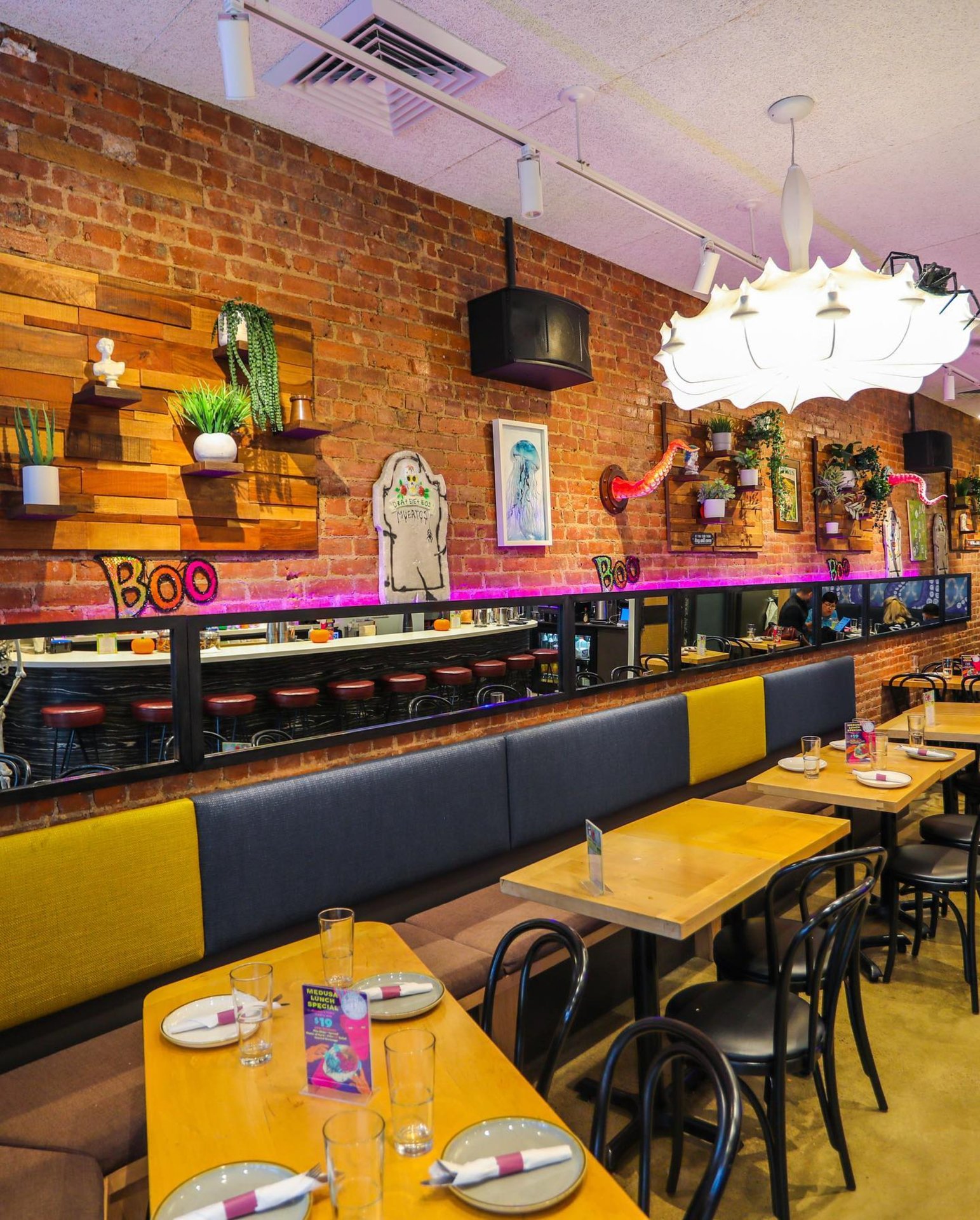 Full Buyout at Medusa The Greek - Restaurant in in Brooklyn, NY | The ...