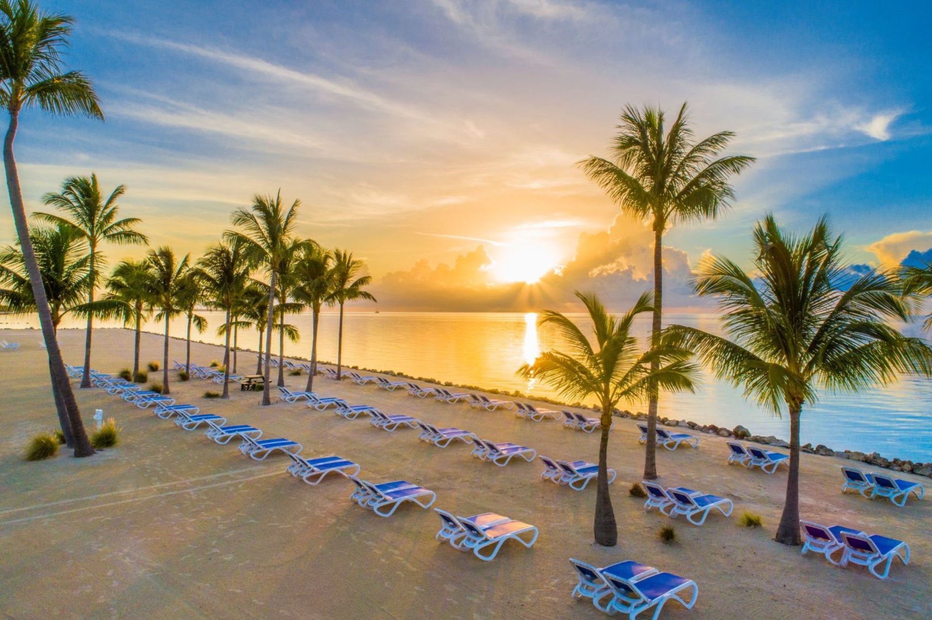 Islander Resort - Hotel in Islamorada, FL | The Vendry
