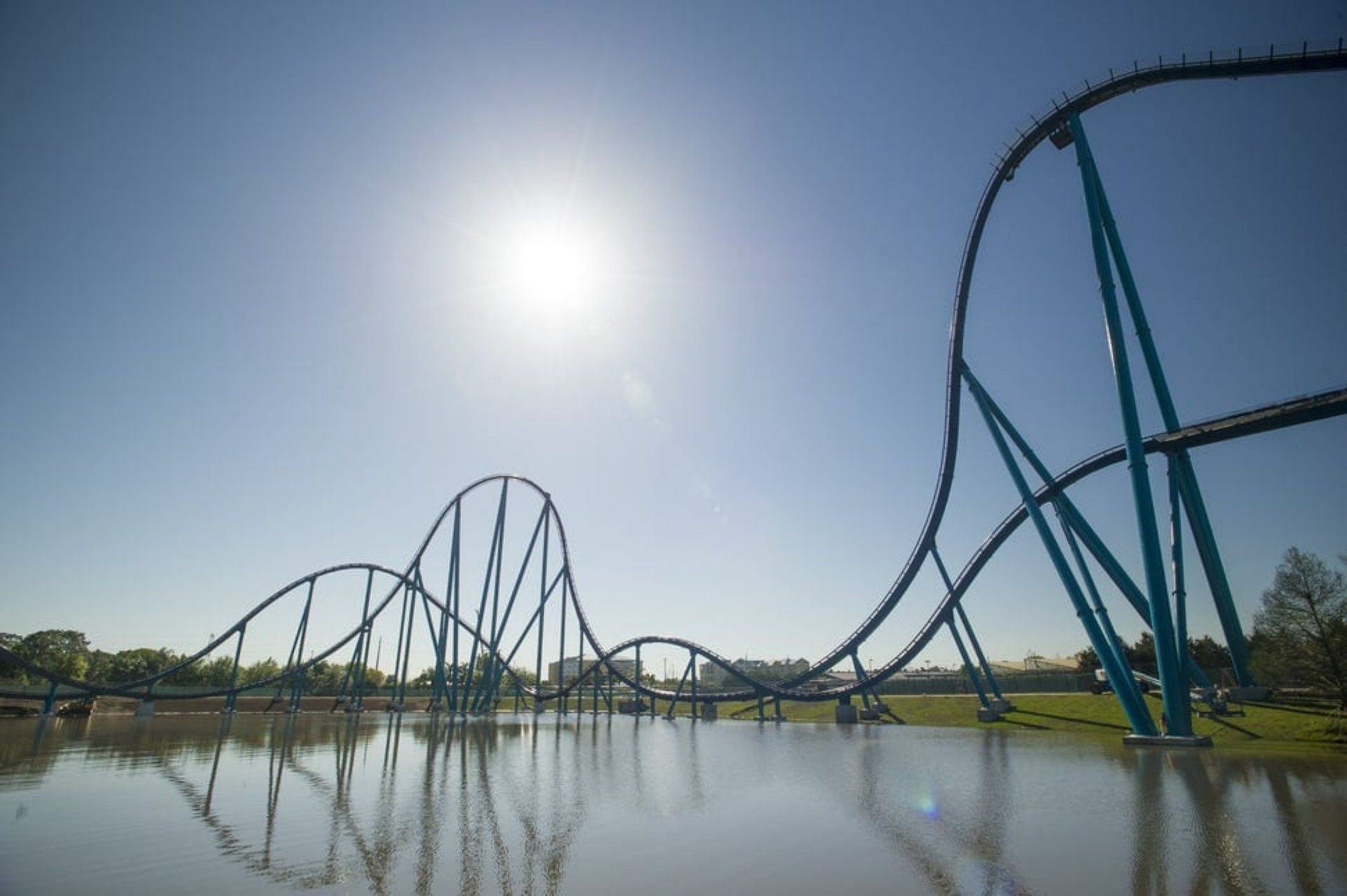 Mako at SeaWorld Orlando - Aquarium / Zoo in in Orlando, FL | The Vendry