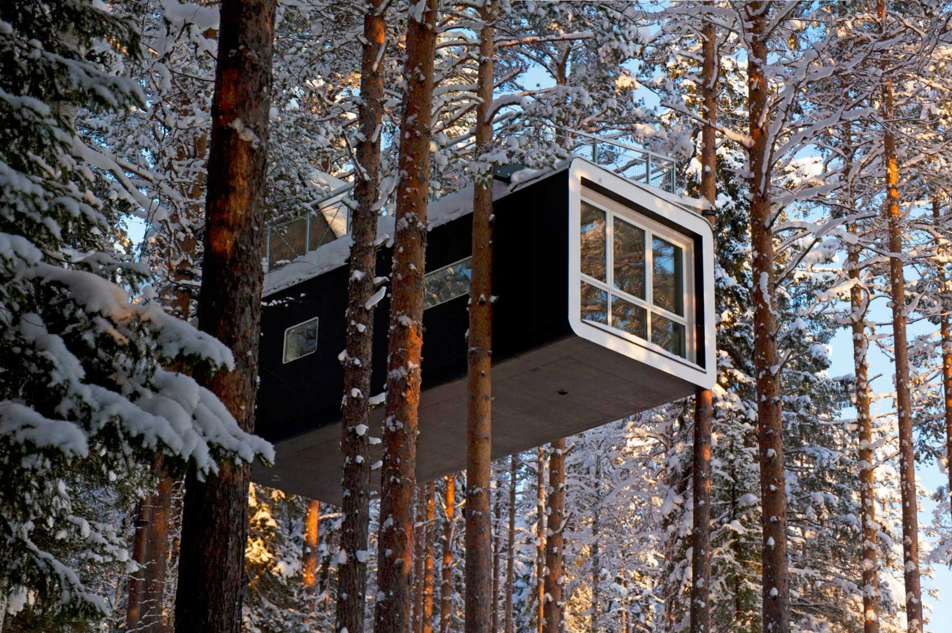 Tree Hotel - Hotel in Harads, Sweden | The Vendry