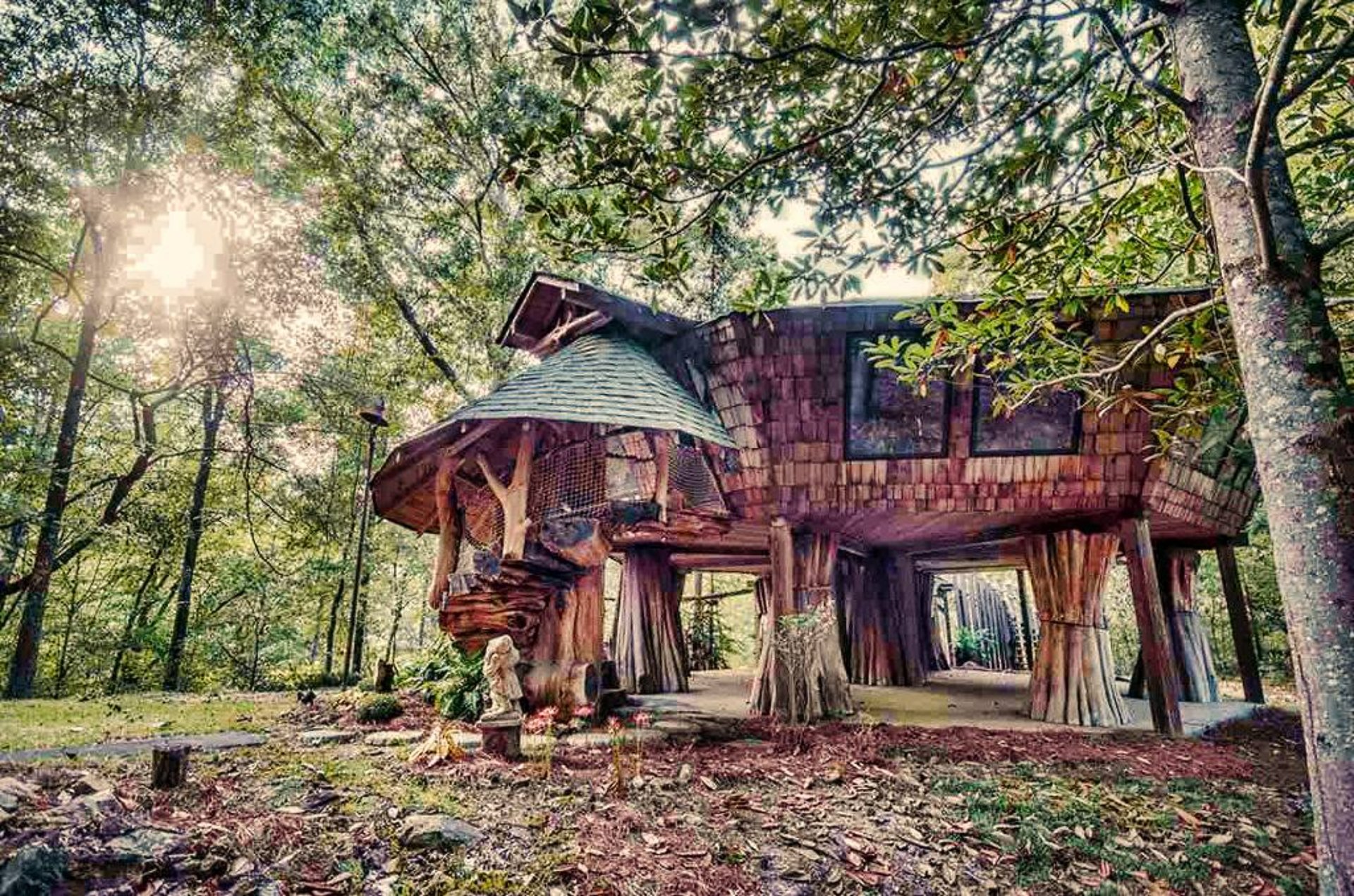 Full Buyout of The Johnny Knight Treehouse at The Johnny Knight ...
