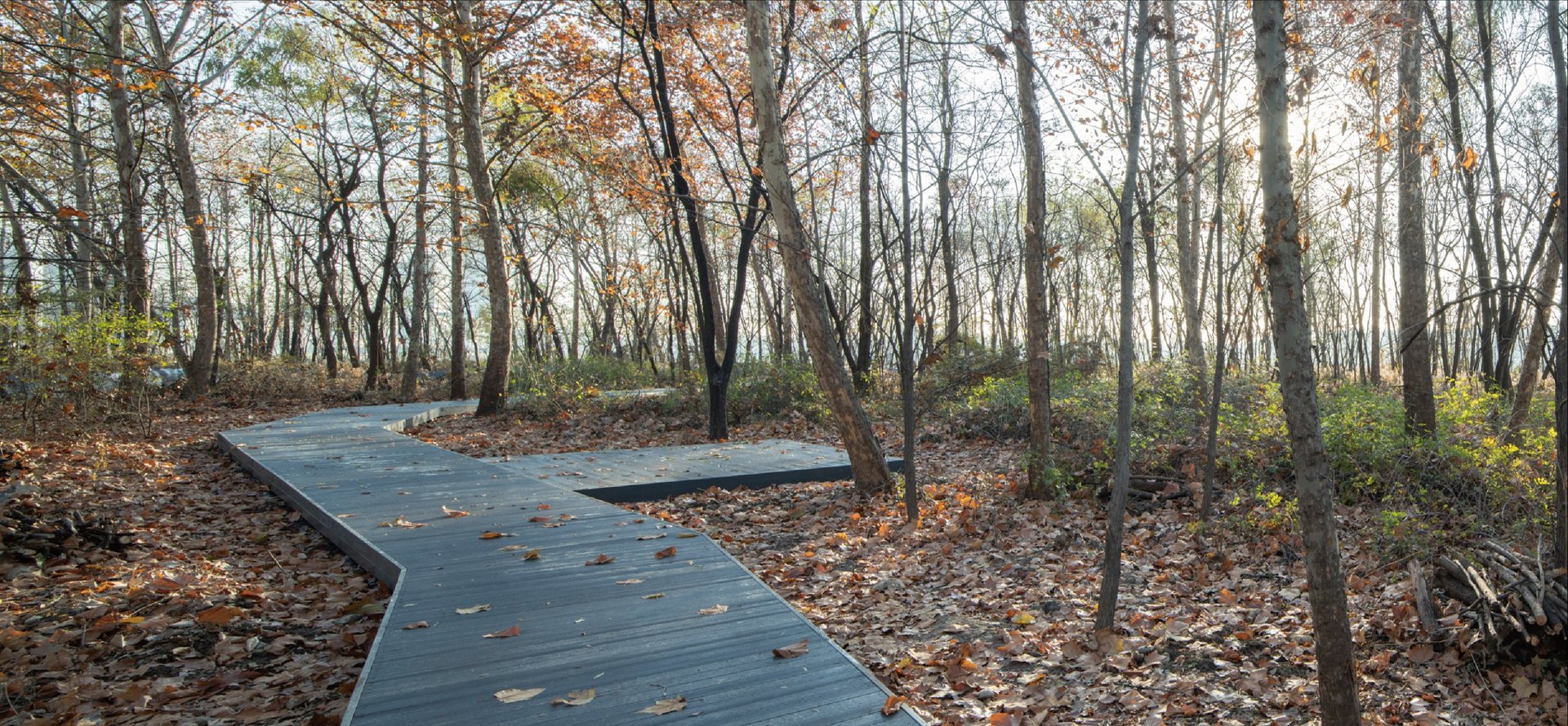 Forests at Nodeul Island - Event Space in in Yongsan-gu, South Korea ...