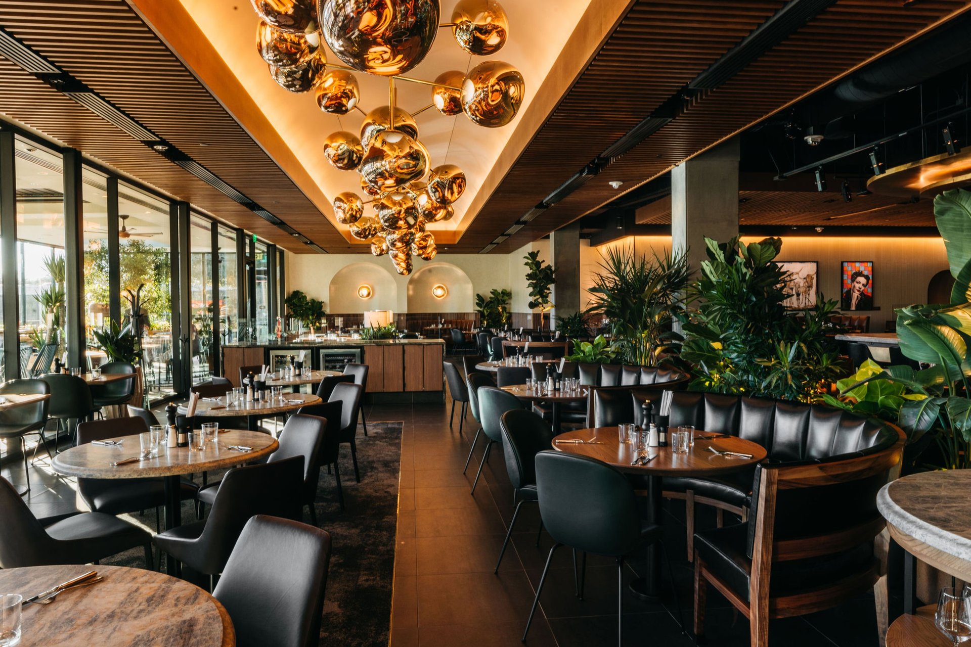 17 new restaurants and coffee shops in D-FW by The Dallas Morning News ...