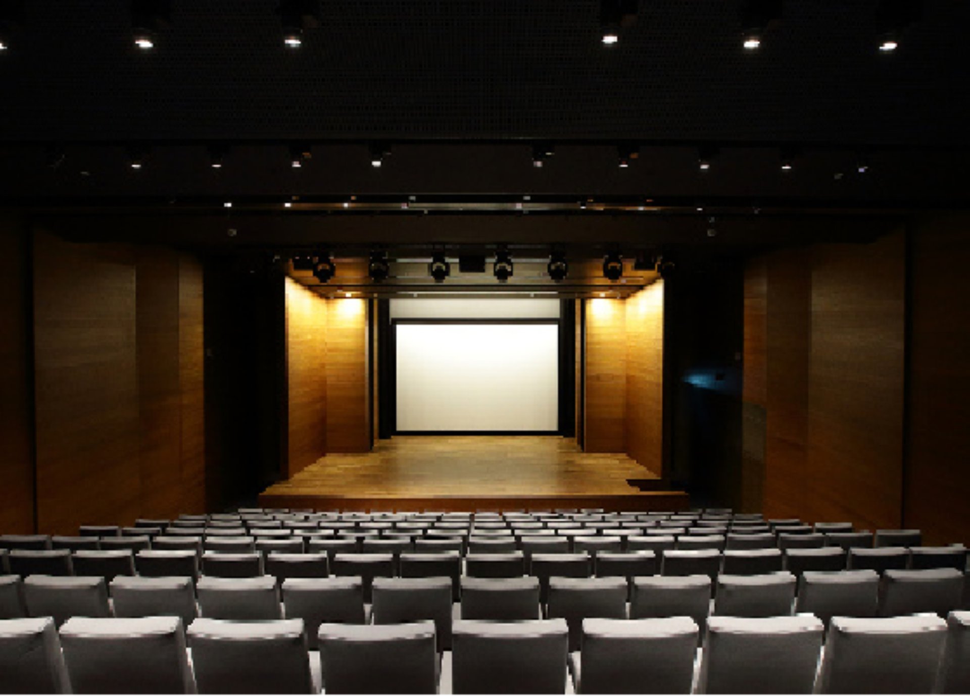 Ngee Ann Kongsi Auditorium at National Gallery Singapore - Museum ...
