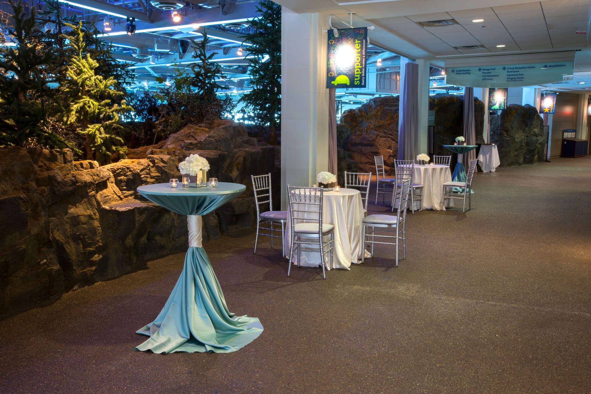 Abbott Oceanarium at Shedd Aquarium - Aquarium / Zoo in in Chicago, IL ...
