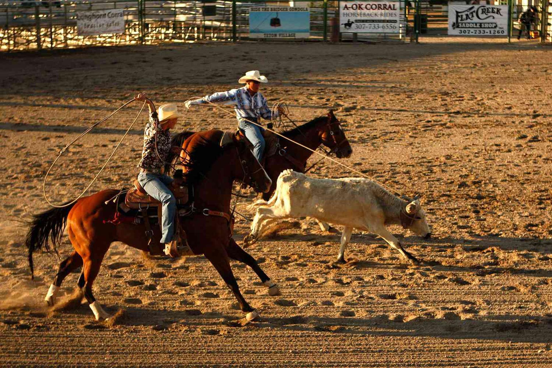 Jackson Hole Playhouse - Performance Space in Jackson, WY | The Vendry
