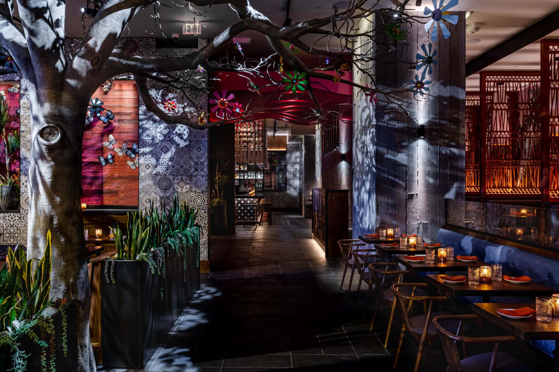dLeña - Mexican Restaurant in Washington, DC | The Vendry