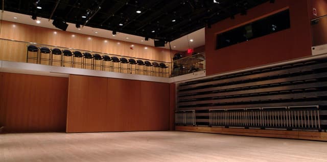 The Goldman-Sonnenfeldt Family Auditorium at Marlene Meyerson JCC ...
