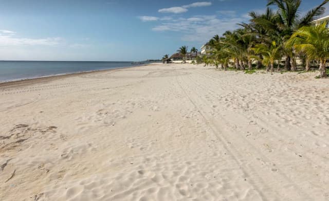 Barracuda Beach at Moon Palace Cancun - All Inclusive Resort - Hotel in ...