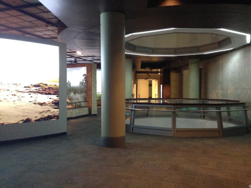 Farish Hall Of Texas Wildlife at Houston Museum of Natural Science